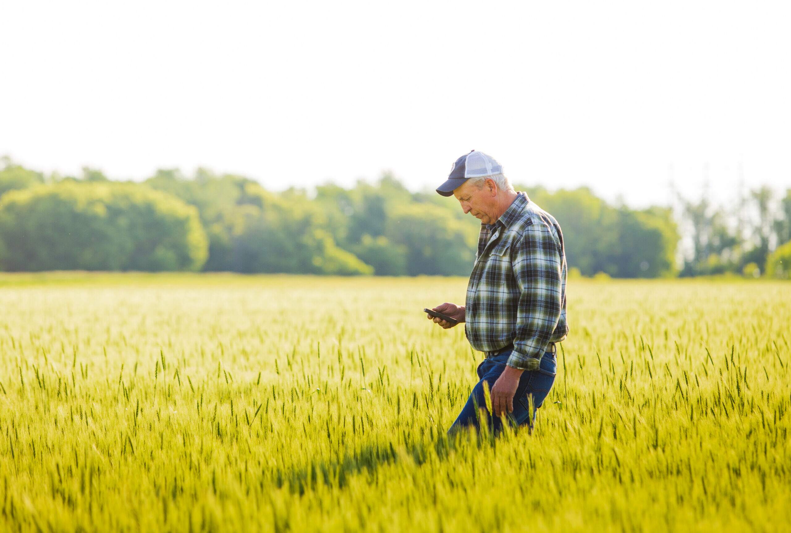 Investing in Tech: It starts with the grain facility - Bushel