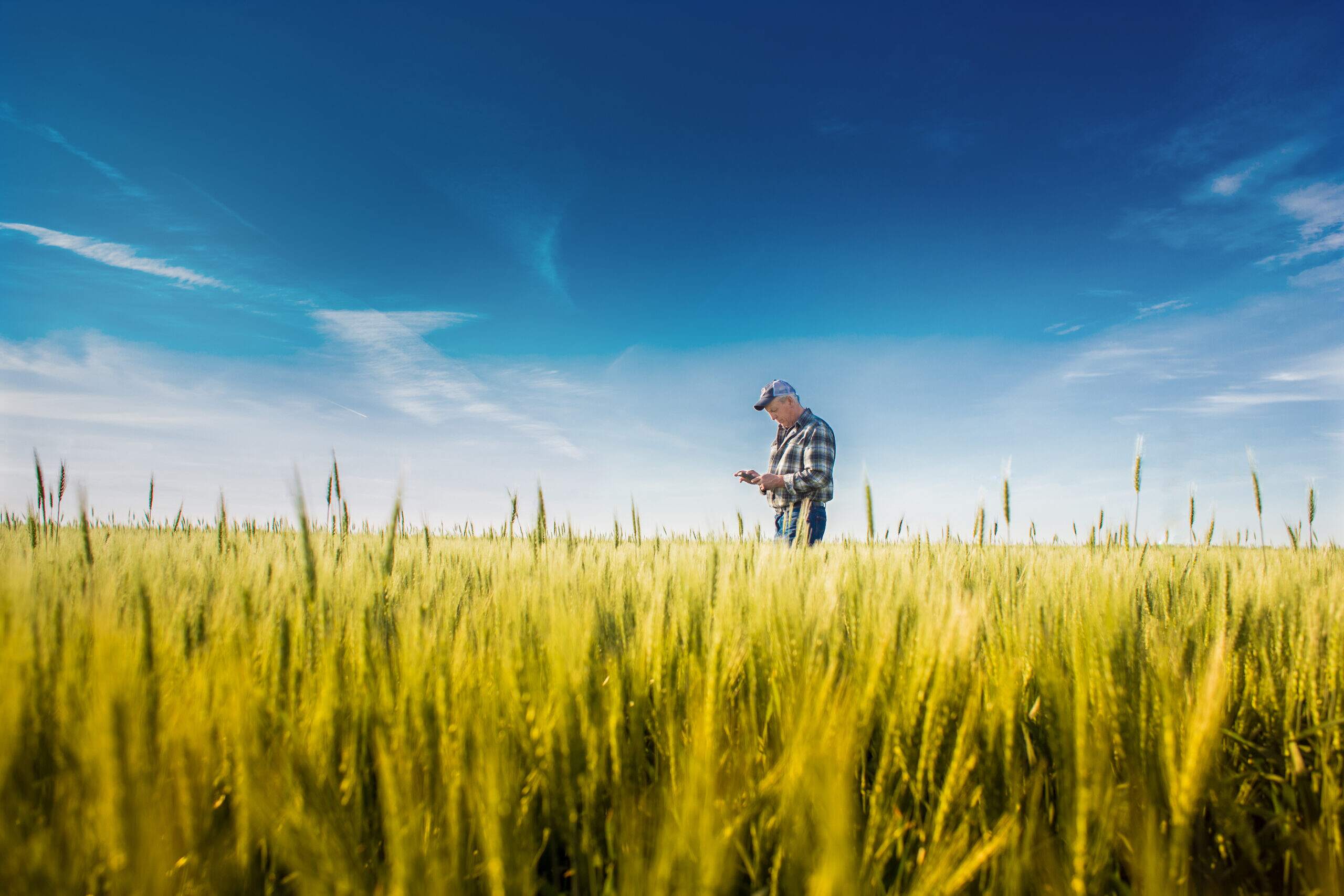 Bushel Builds Connection to the CIBO Carbon Bridge Program, Helping ... Bushel Builds Connection to the CIBO Carbon Bridge Program, Helping ...